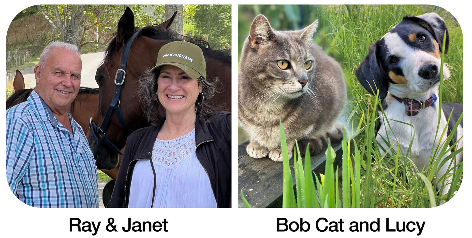 The future of Wild Side Publishing